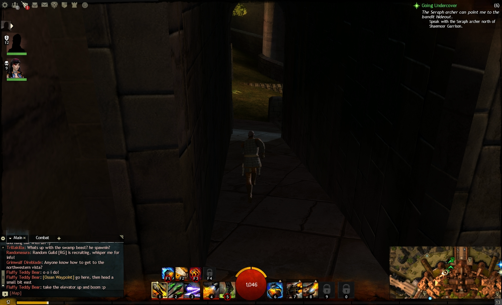 Divinity's Reach — "Guild Wars 2" Vista Guide