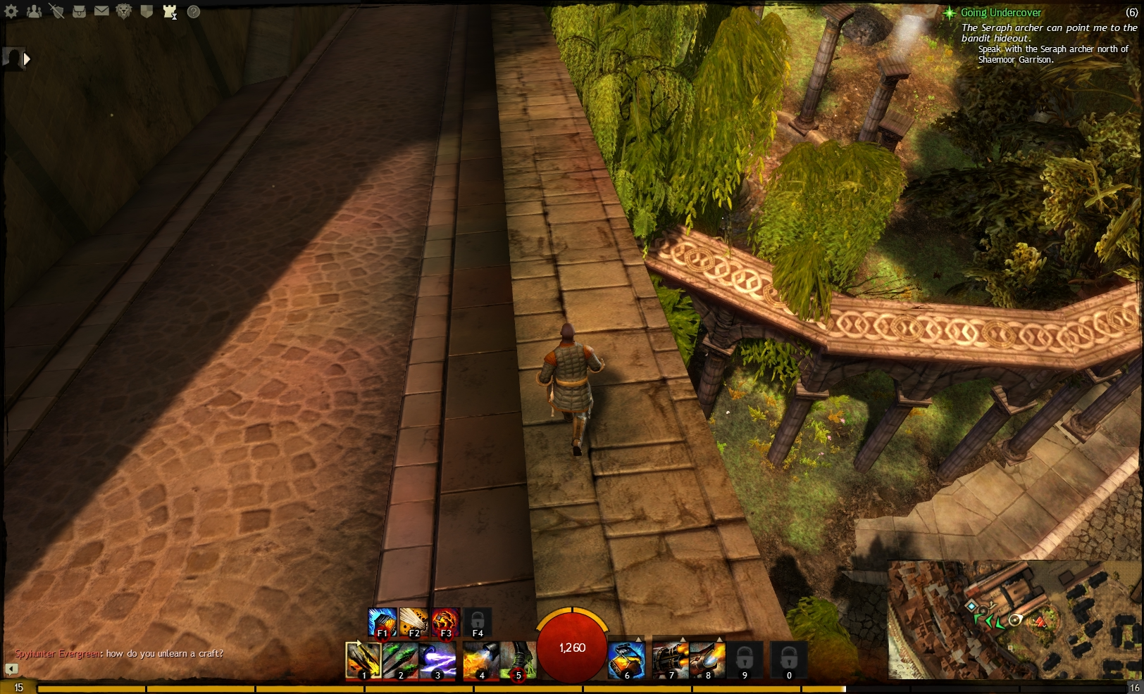 Divinity's Reach — "Guild Wars 2" Vista Guide