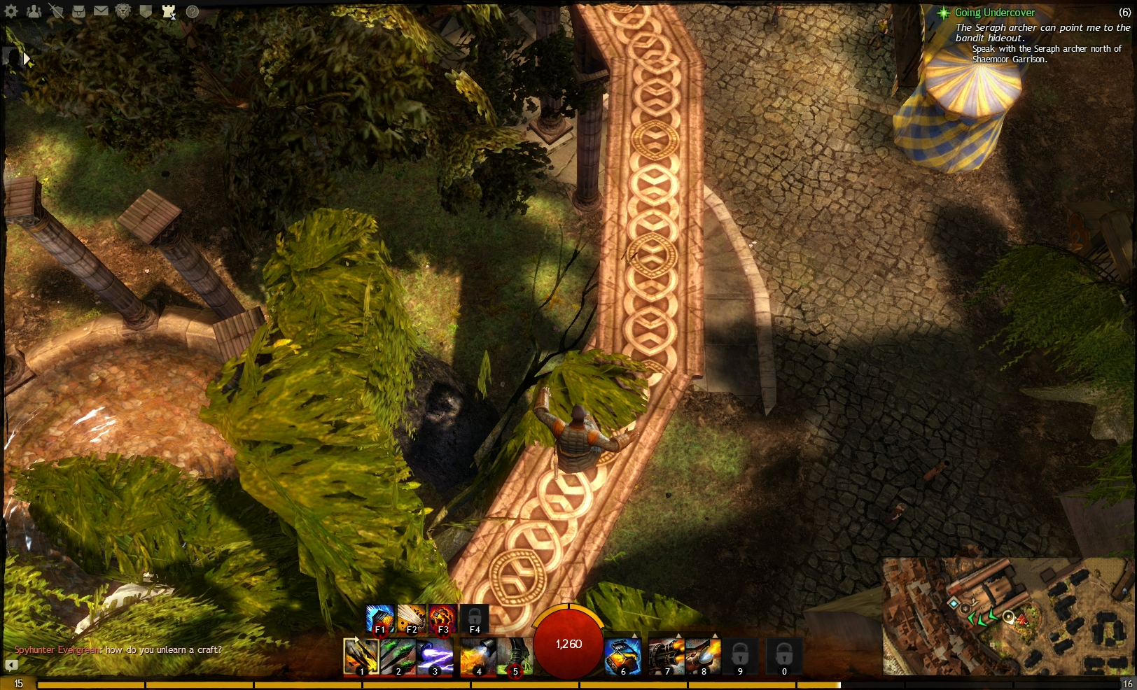 Divinity's Reach — "Guild Wars 2" Vista Guide