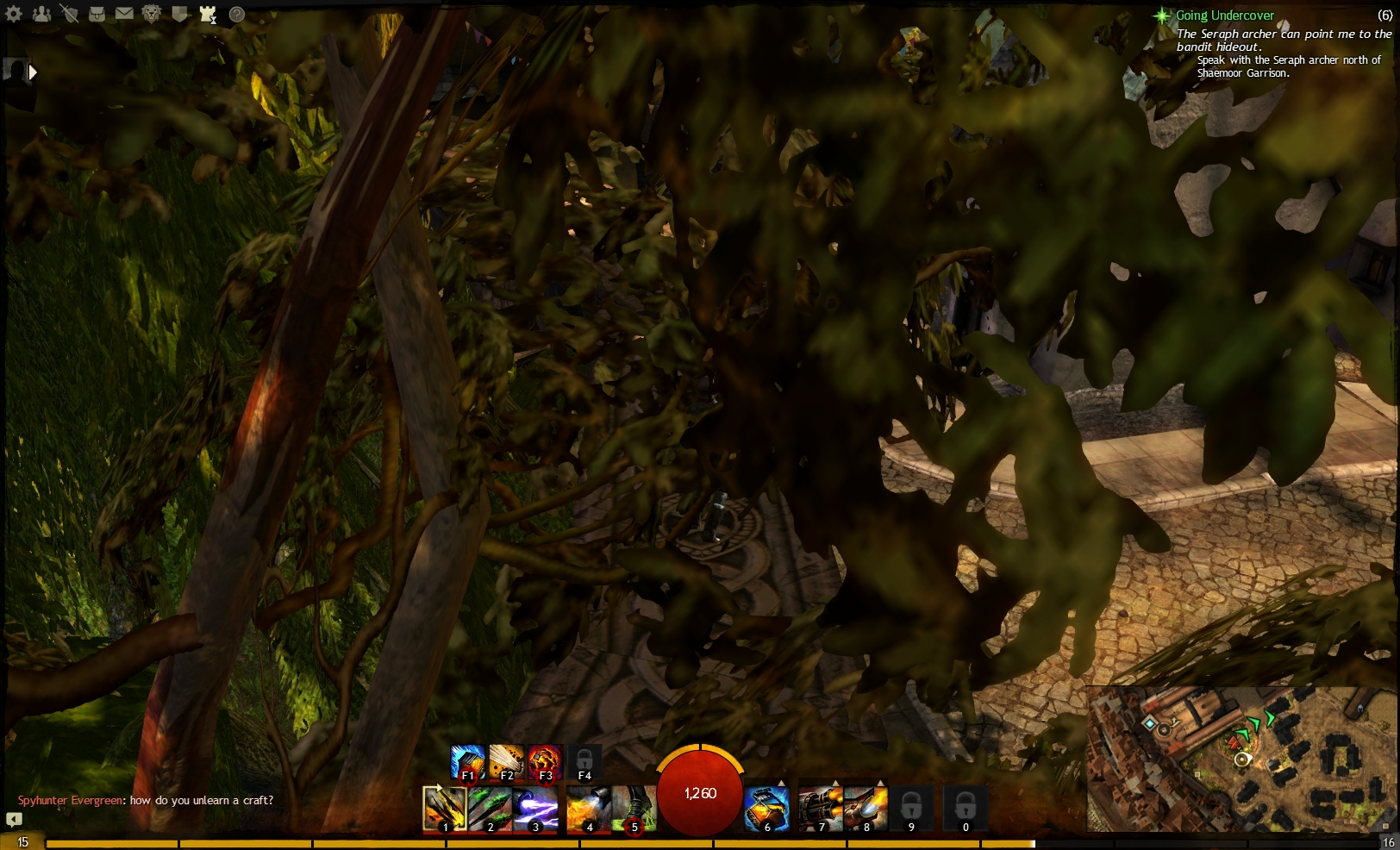 Divinity's Reach — "Guild Wars 2" Vista Guide