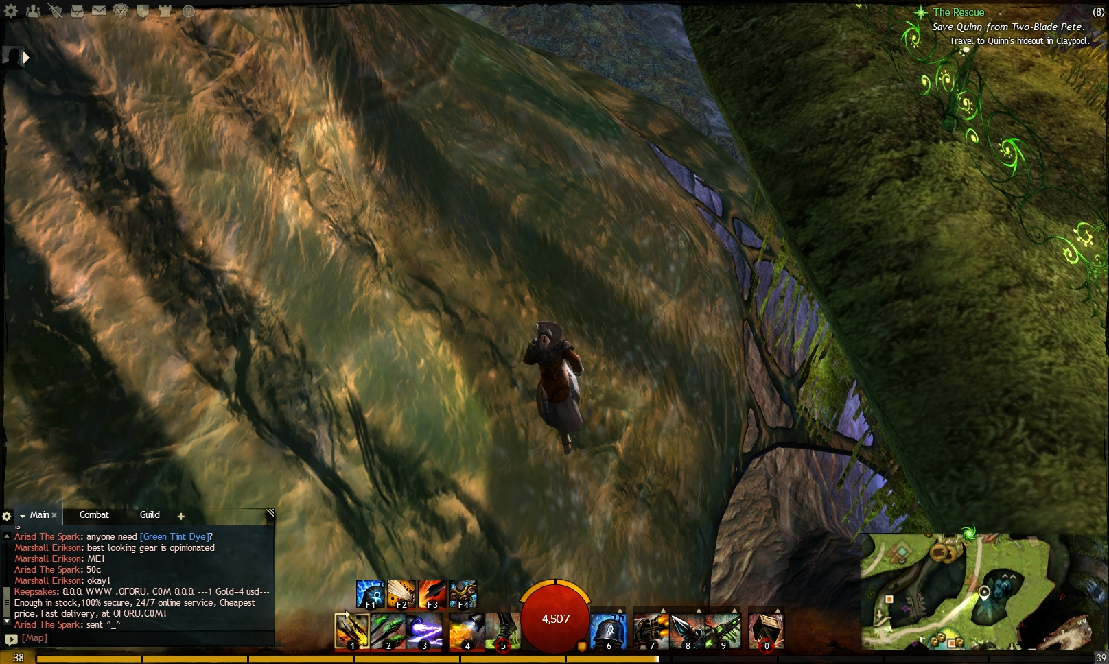 The Grove — "Guild Wars 2" Vista Guide