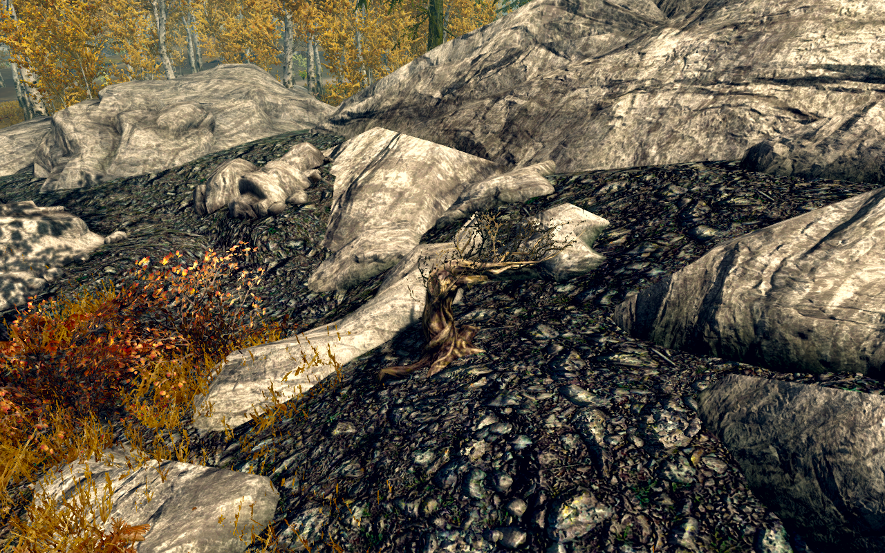 Shadow Stone - Primary Location Guide: "The Elder Scrolls V: Skyrim ...